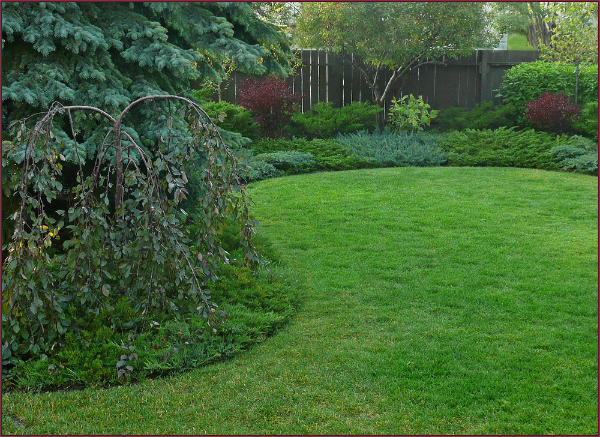 CURVES WONDERFUL CURVES: Good Lines Mean Good Designs – Part 2 « Not ...