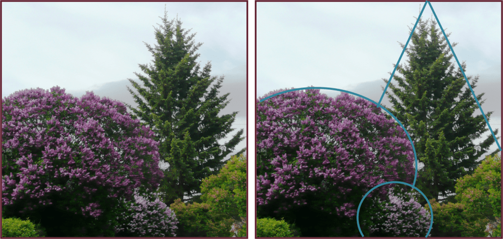 Mmmmm…. Love those Lilacs « Not Another Gardening Blog