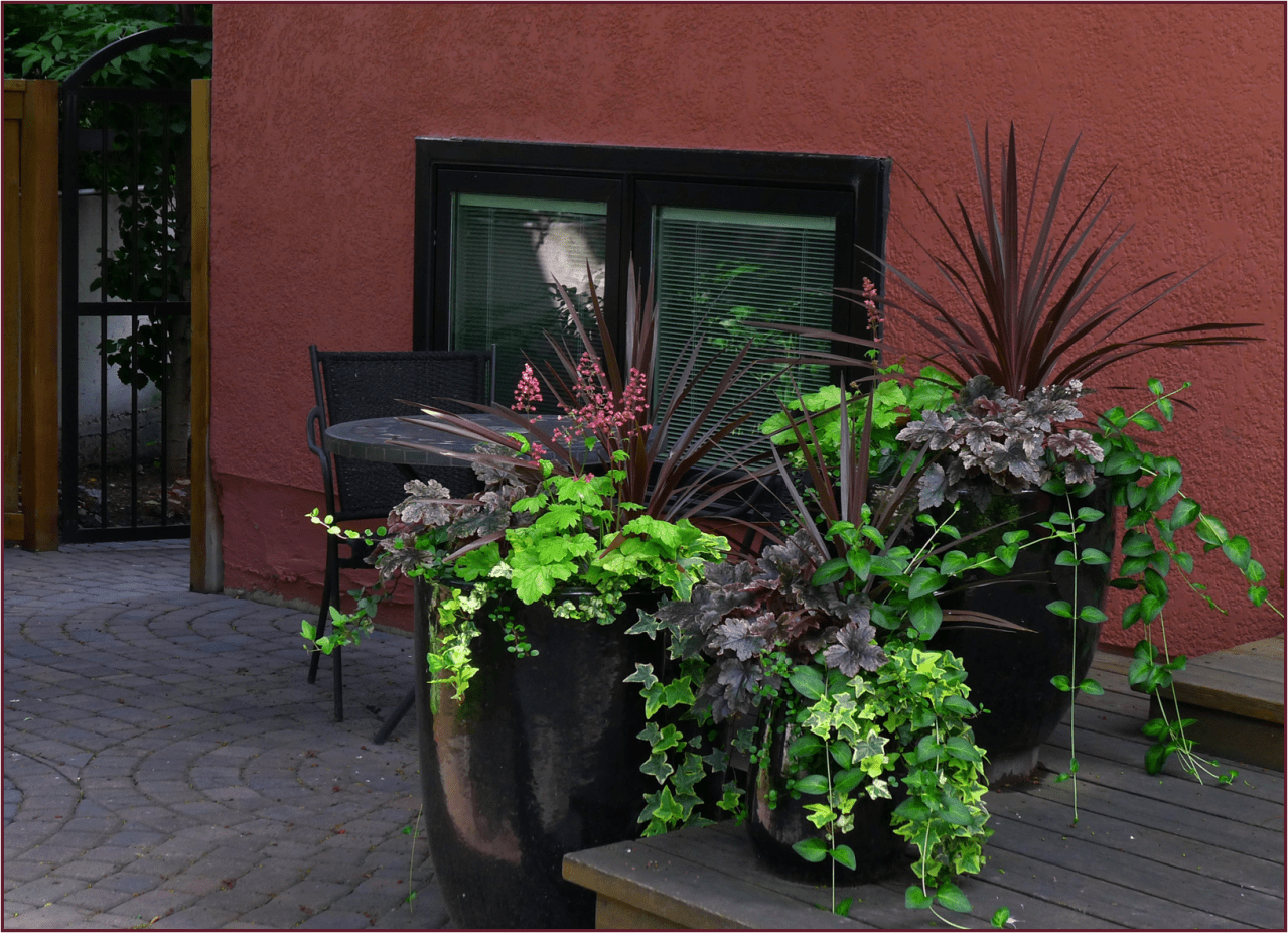 The Principled Gardener Part 3 – Unity of Three « Not Another Gardening ...