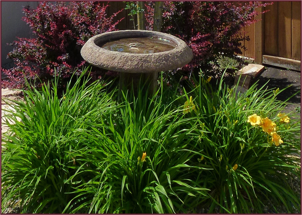 The Principled Gardener Part 3 – Unity of Three « Not Another Gardening ...