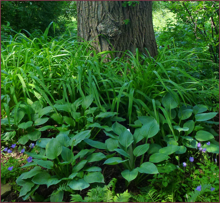 The Principled Gardener Part 3 – Unity of Three « Not Another Gardening ...