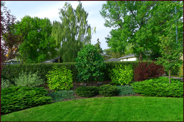 Balance in Landscape Design « Not Another Gardening Blog