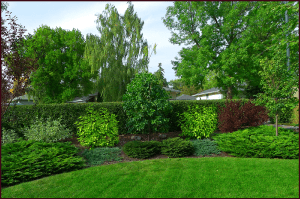 Balance in Landscape Design « Not Another Gardening Blog