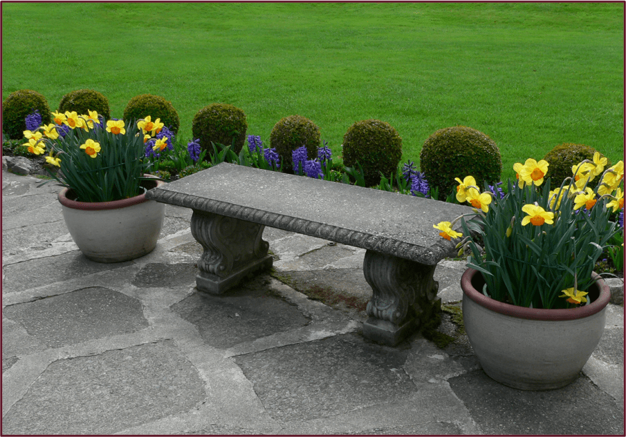 Rounded forms « Not Another Gardening Blog