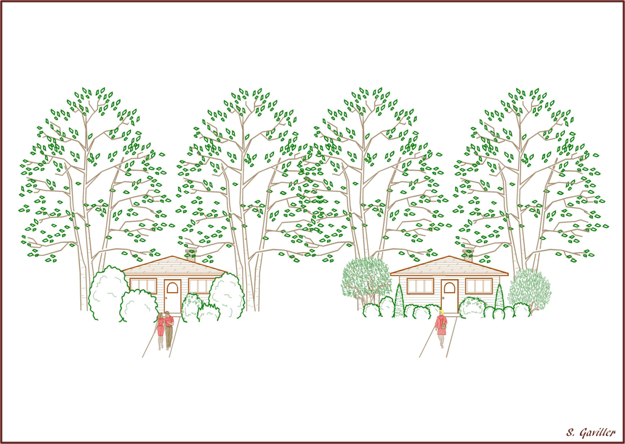 The Principled Gardener Part 7 – Scale « Not Another Gardening Blog