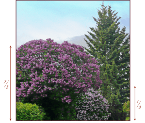 Proportion in Landscape Design « Not Another Gardening Blog