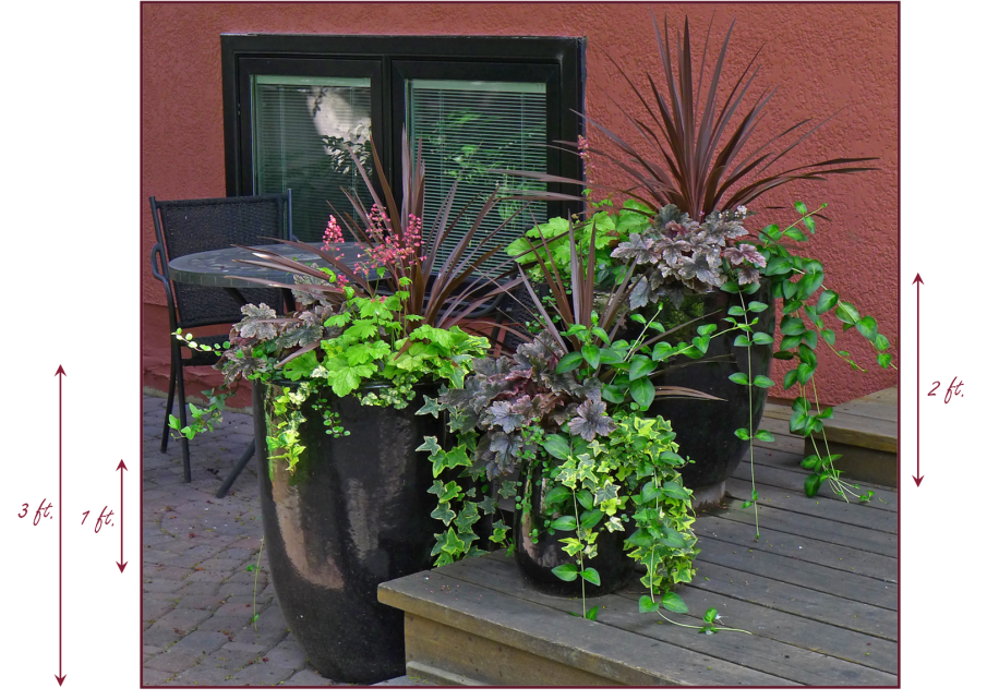 Rule of Thirds – containers « Not Another Gardening Blog