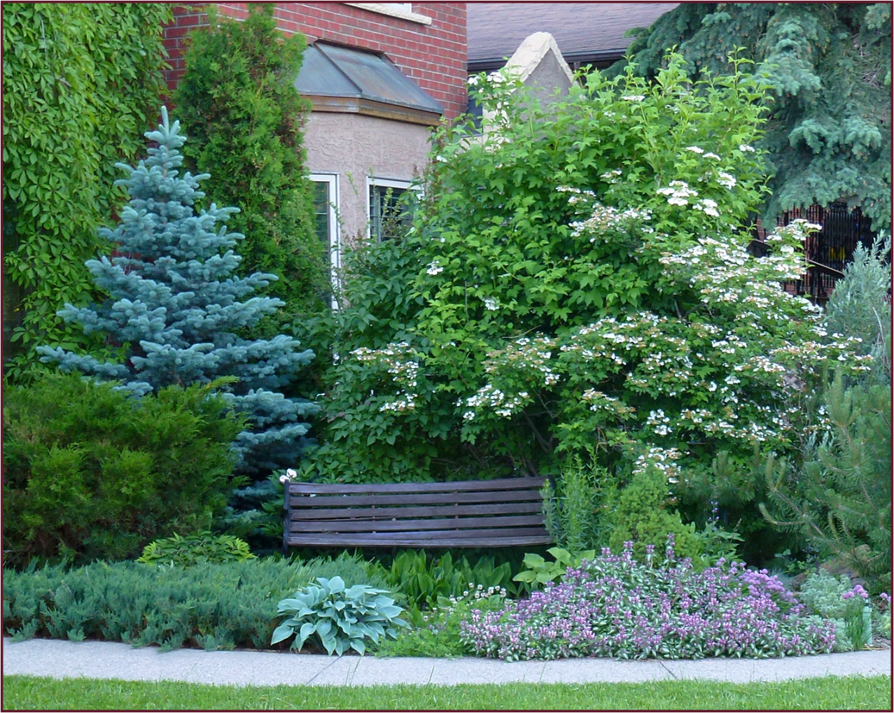 vase-shape plant form « Not Another Gardening Blog