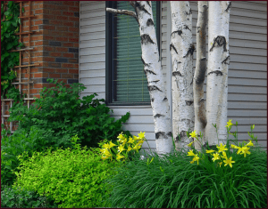 Weaving Your Garden, Part 2 – More Textural Treats « Not Another ...