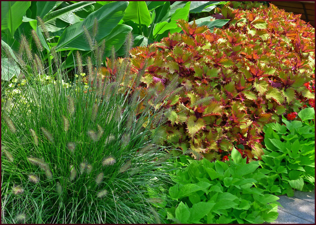 Princess Pepper’s Adventure « Not Another Gardening Blog