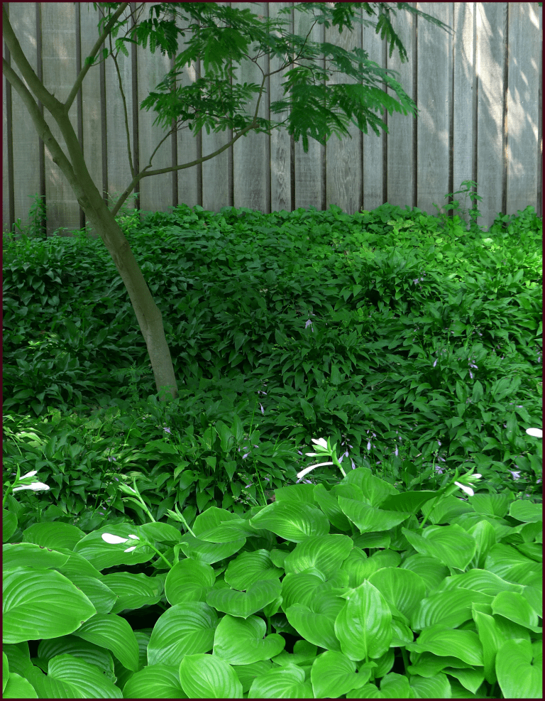 Princess Pepper’s Adventure « Not Another Gardening Blog