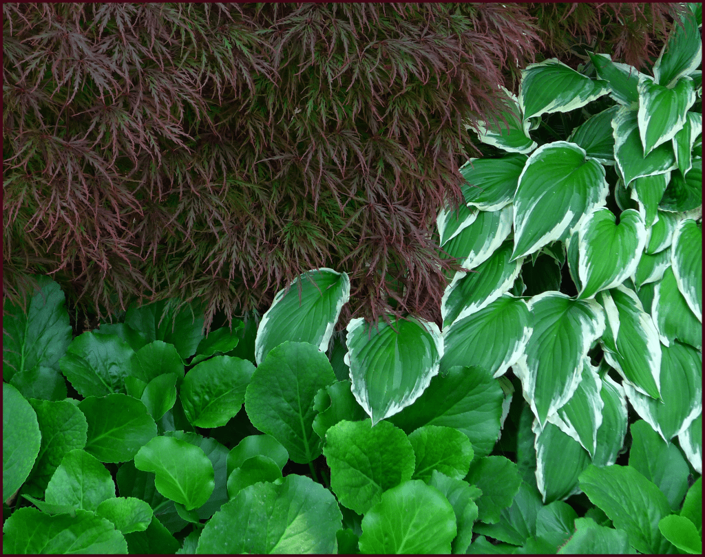 Princess Pepper’s Adventure « Not Another Gardening Blog