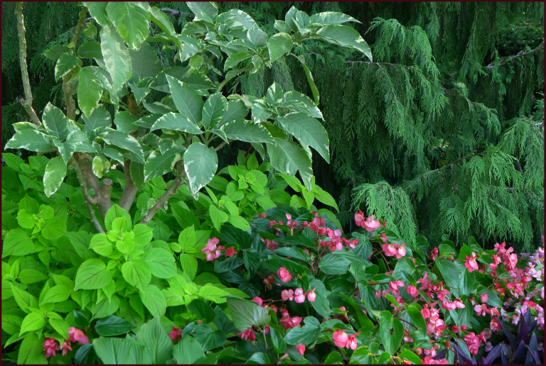 Princess Pepper’s Adventure « Not Another Gardening Blog