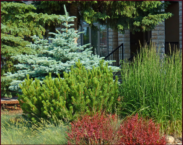 Designing with Plants « Not Another Gardening Blog