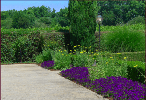 Colouring Your Garden – Part 3; Value Added « Not Another Gardening Blog