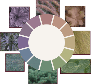 Colouring Your Garden – Part 4; Saturated Solutions « Not Another ...