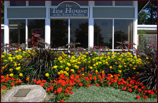 February « 2015 « Not Another Gardening Blog