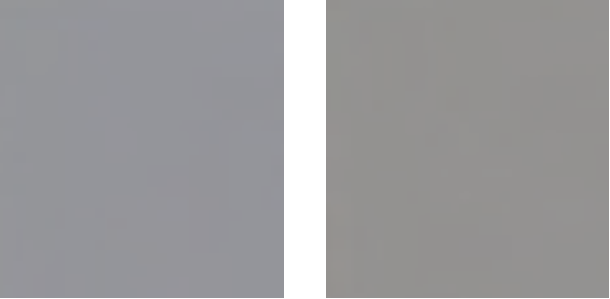 March « 2015 « Not Another Gardening Blog