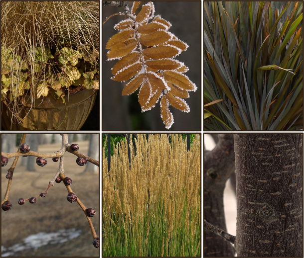 March « 2015 « Not Another Gardening Blog