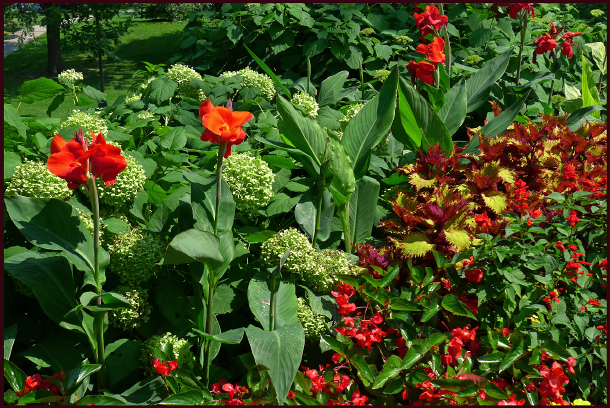 Colouring Your Garden – Part 8; More Optical Illusions « Not Another ...