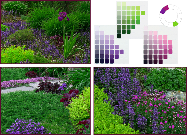 Colouring Your Garden – Part 9: Colour Schemes « Not Another Gardening Blog