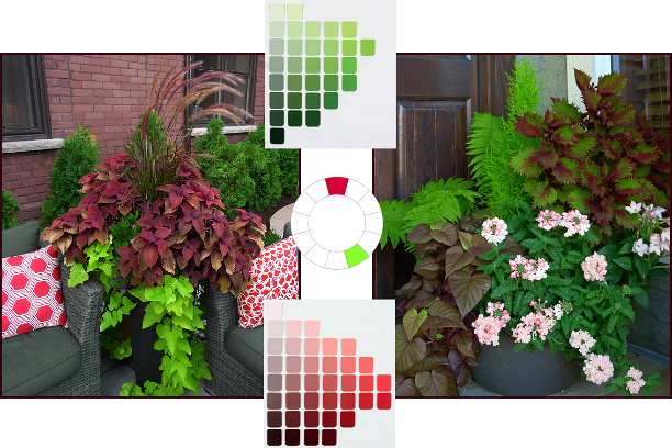 Colouring Your Garden – Part 9: Colour Schemes « Not Another Gardening Blog