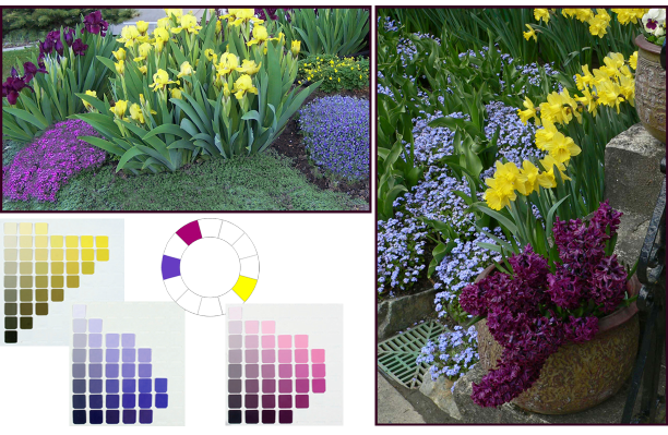 Colouring Your Garden – Part 9: Colour Schemes « Not Another Gardening Blog